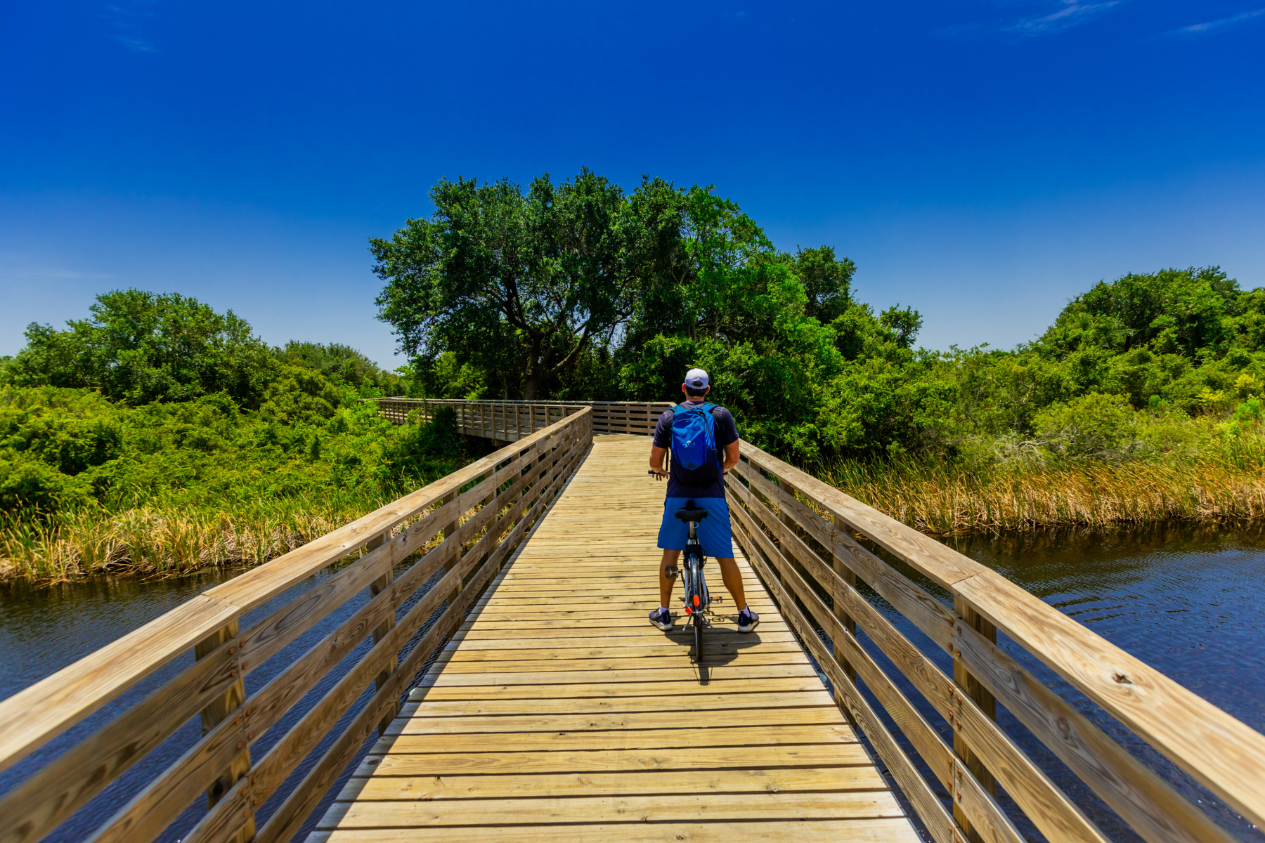 7 picturesque nature spots on the Alabama gulf coast - Outdoor Writers ...