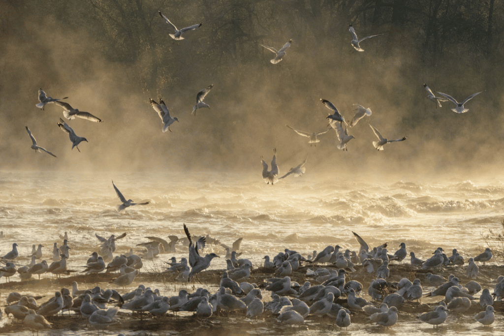 Five ways to make the most of your OWAA membership - Outdoor Writers ...