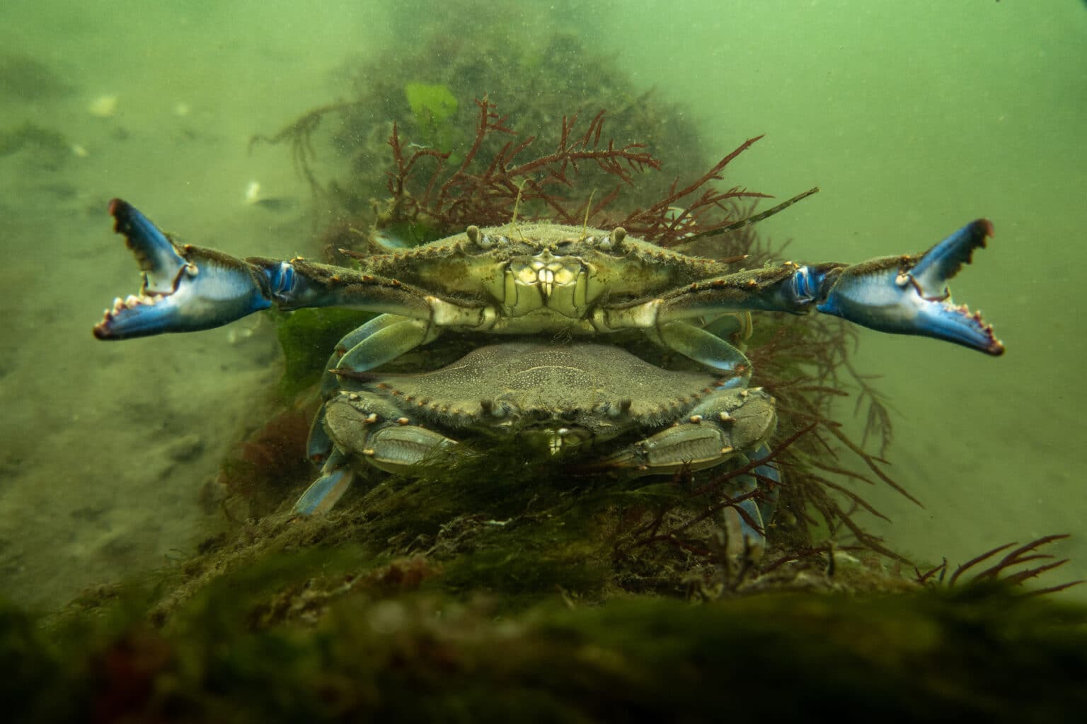 Meet OWAA member Chris Paparo - Outdoor Writers Association of America