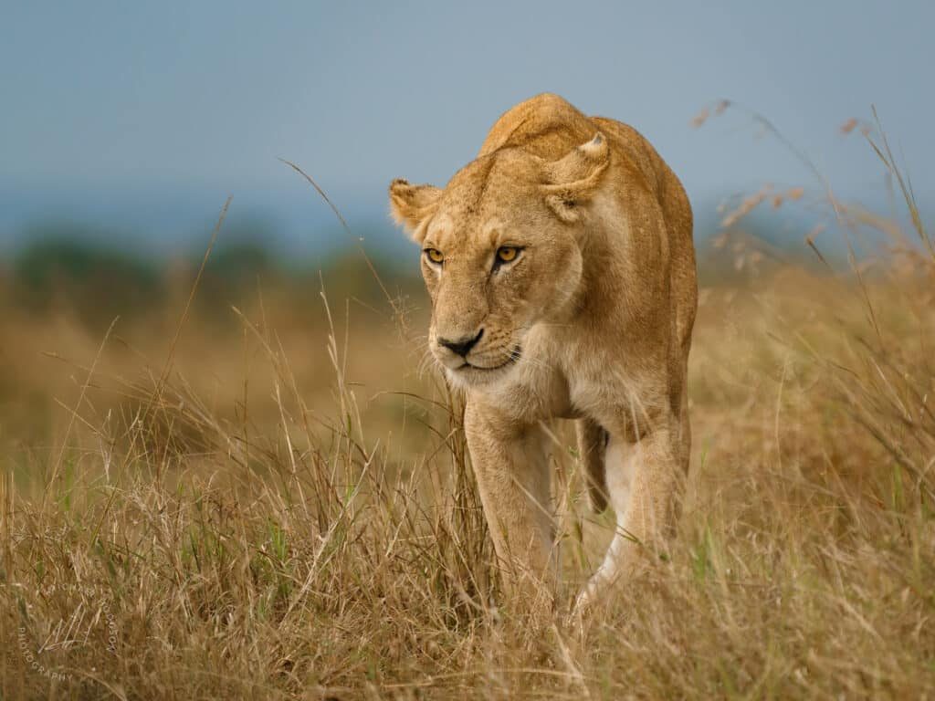 2023 EIC Photography Winners - Outdoor Writers Association of America